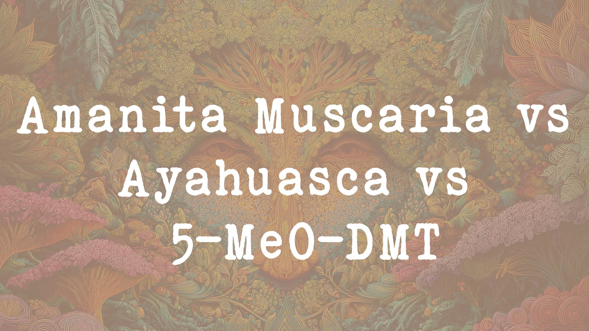 Amanita Muscaria vs Ayahuasca vs 5-MeO-DMT – Barong CBD Shop